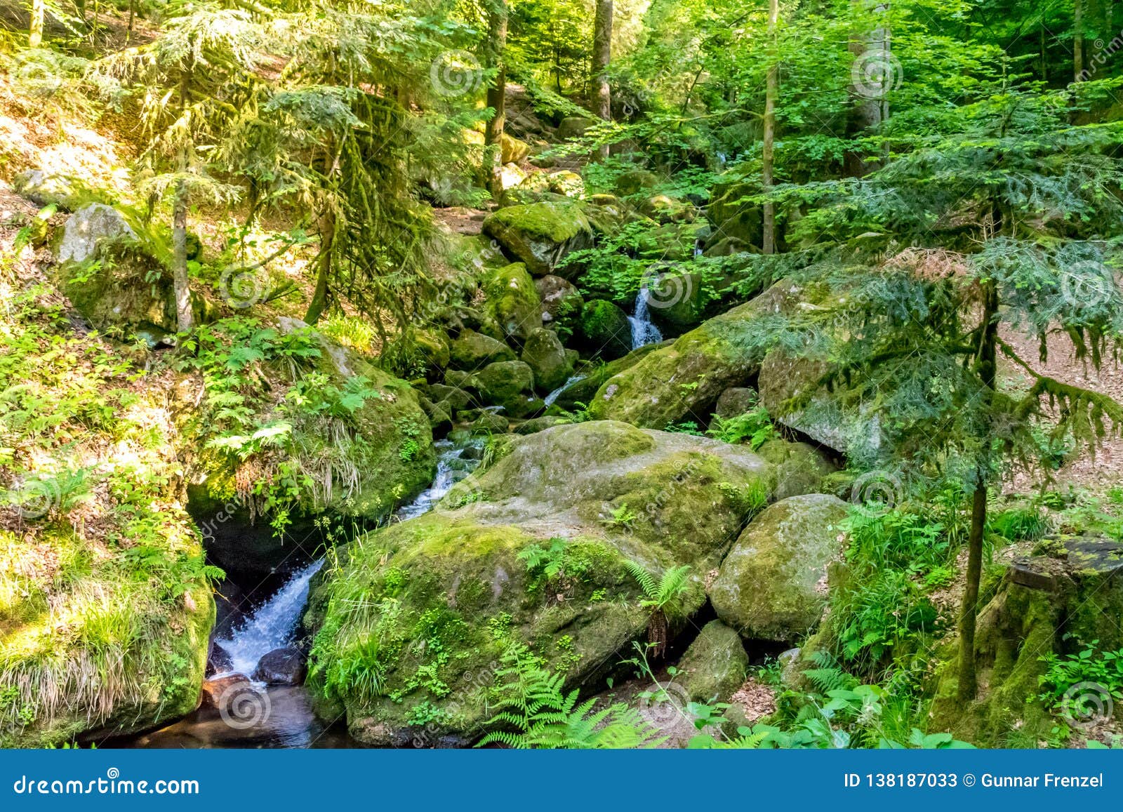 Small Creek with Stone Bed and Waterfall Steps in the Forest Stock ...