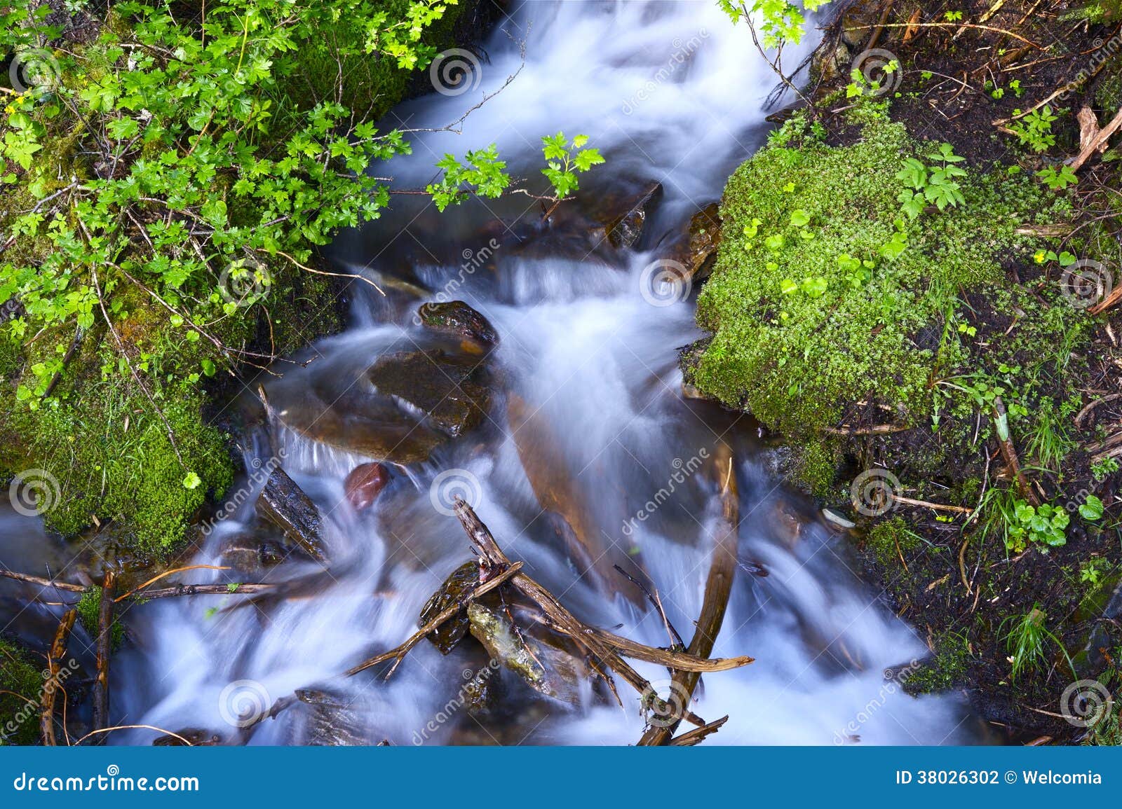 Small Creek Stream stock photo. Image of flowing, creek - 38026302