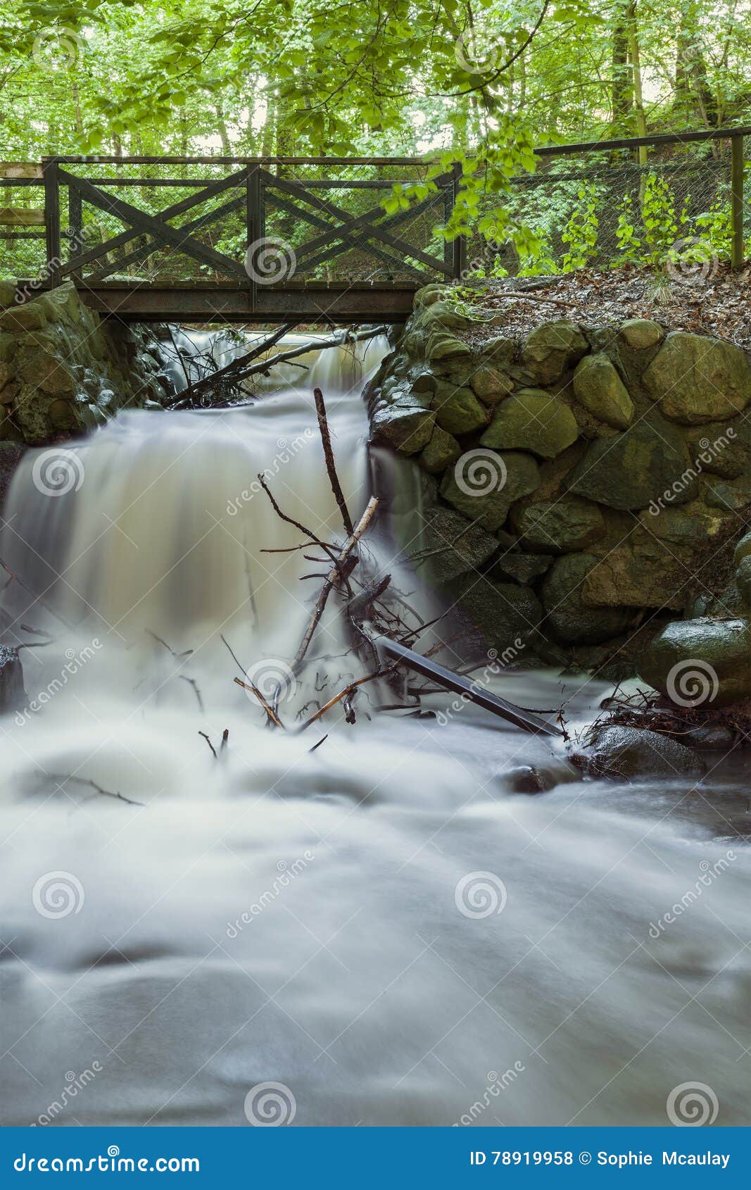Small creek waterfall stock photo. Image of rock, helsingborg - 78919958
