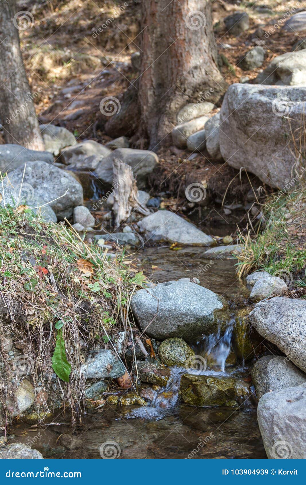 Small Creek with a Waterfall Stock Image - Image of creek, cool: 103904939