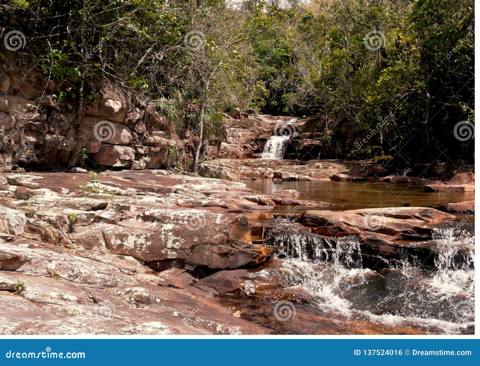 Small Creek and Waterfall in a Tropical Forest Stock Photo - Image of ...