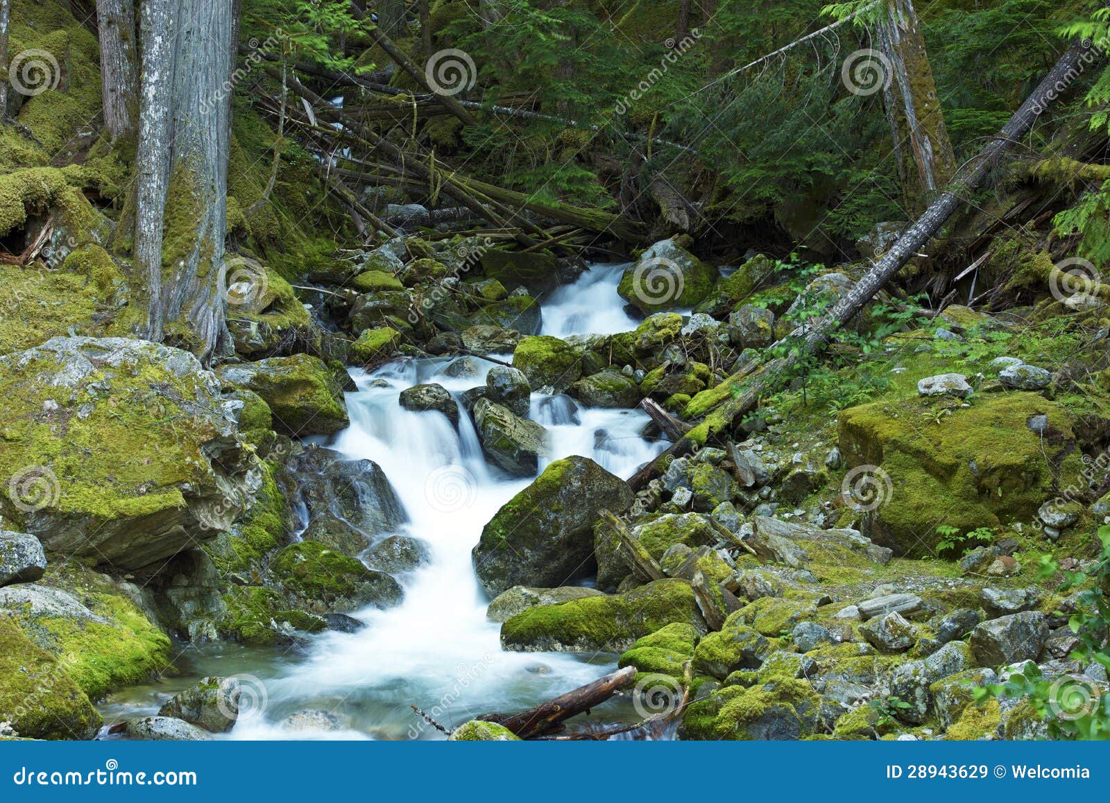 Small Creek Waterfalls stock image. Image of america - 28943629