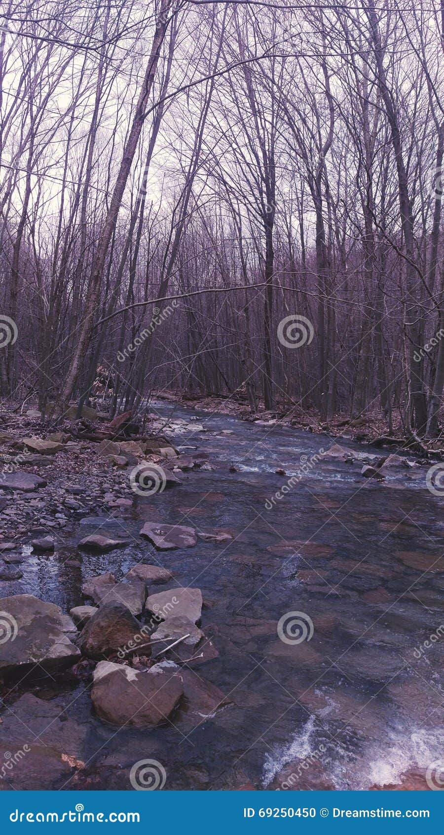 Small creek stock photo. Image of small, beginning, woods - 69250450