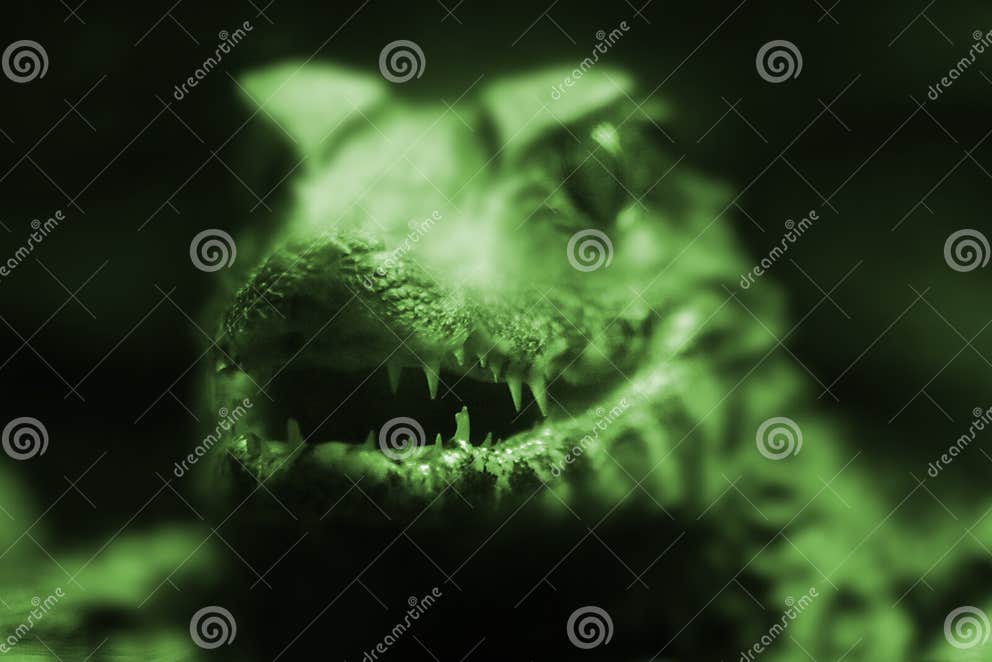 Small crocodile stock photo. Image of wildlife, head - 23432048