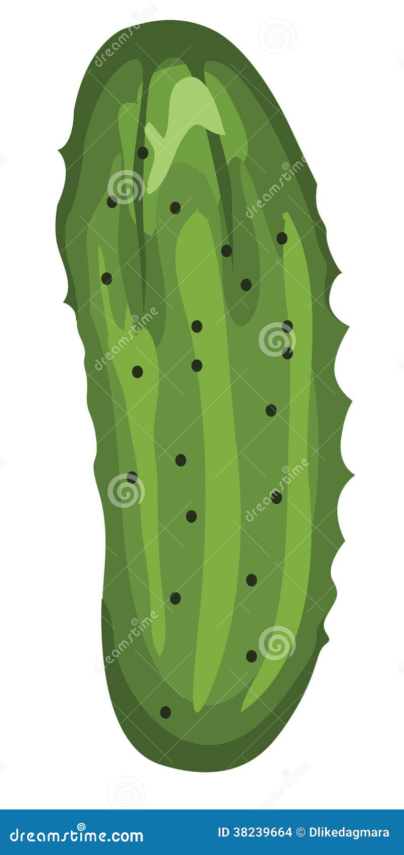Small Cucumber stock illustration. Illustration of card - 38239664