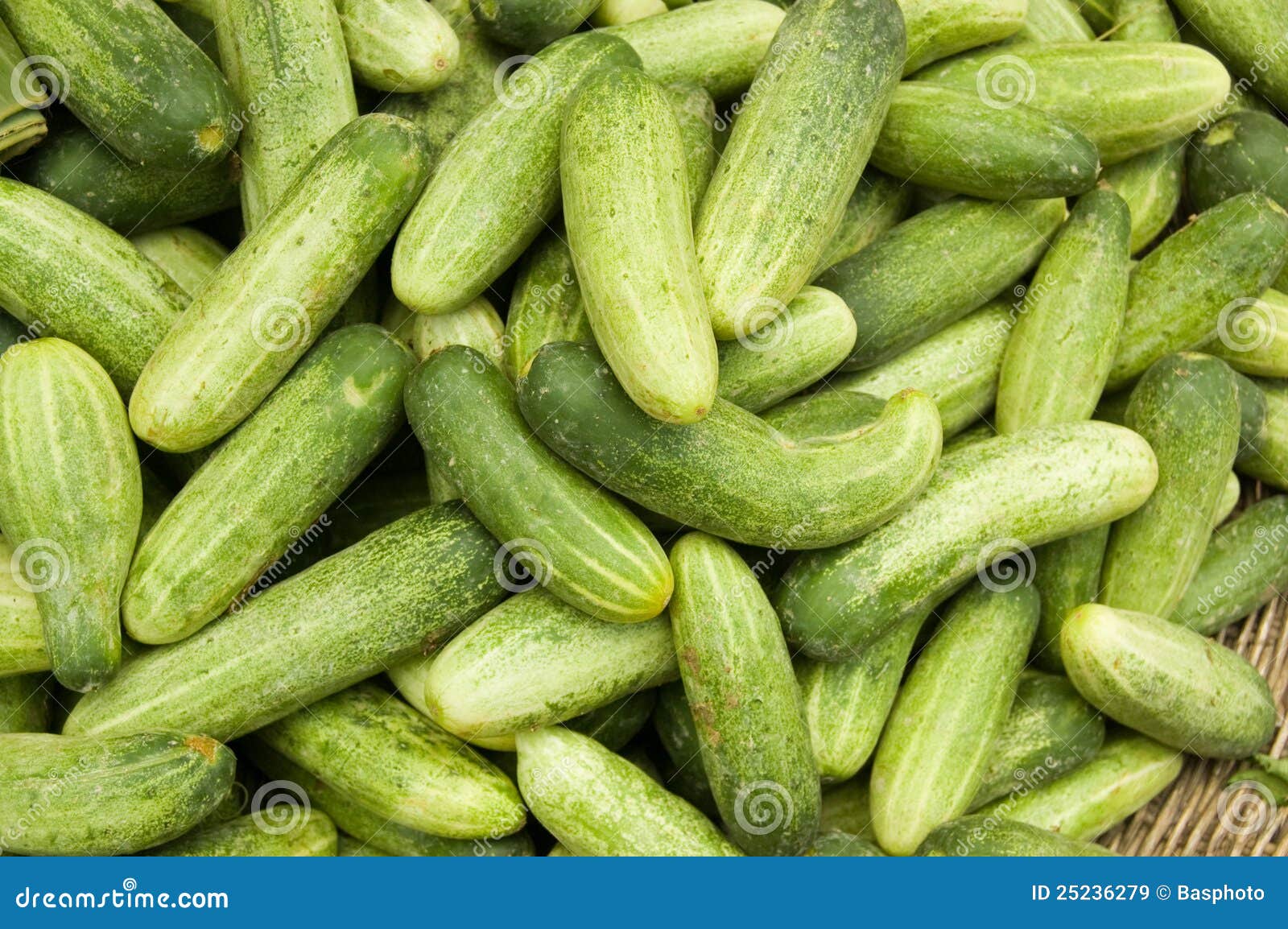 Small Cucumbers at a Cambodian Market Stock Image - Image of cucumber ...