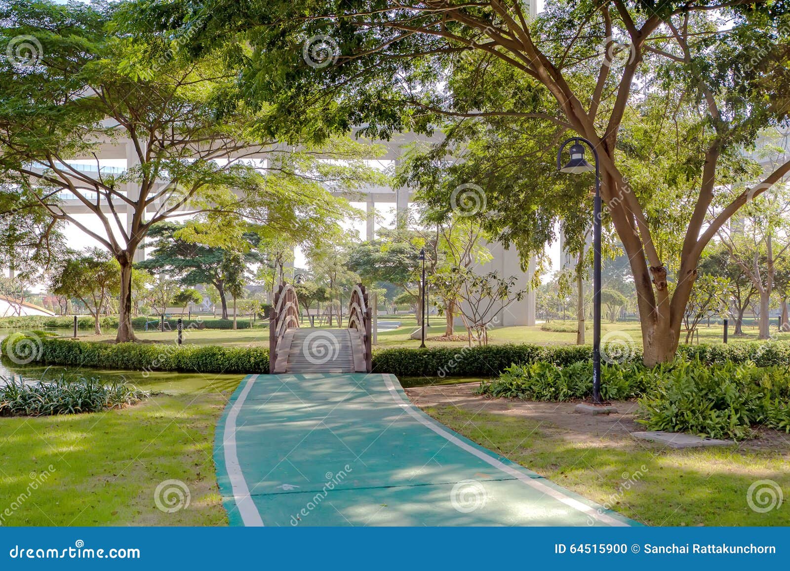 Small Curve Wooden Bridge in Garden. Stock Photo - Image of ...