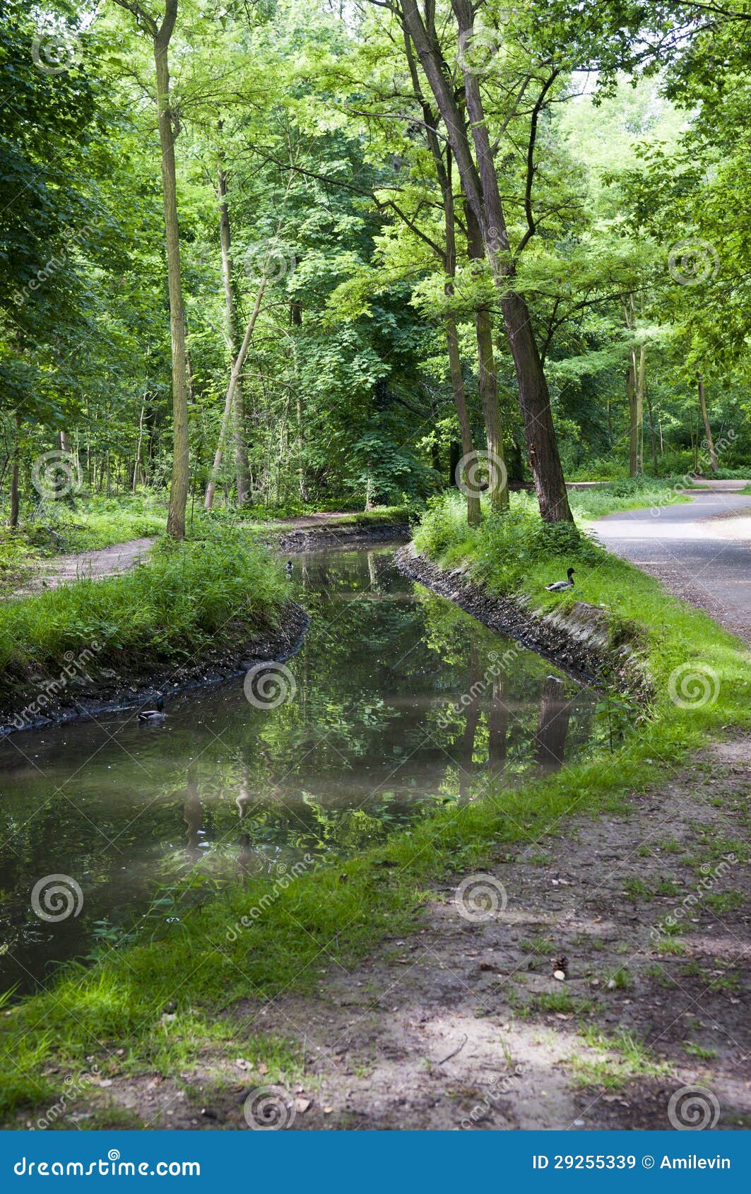 Small curved canal stock image. Image of water, canal - 29255339