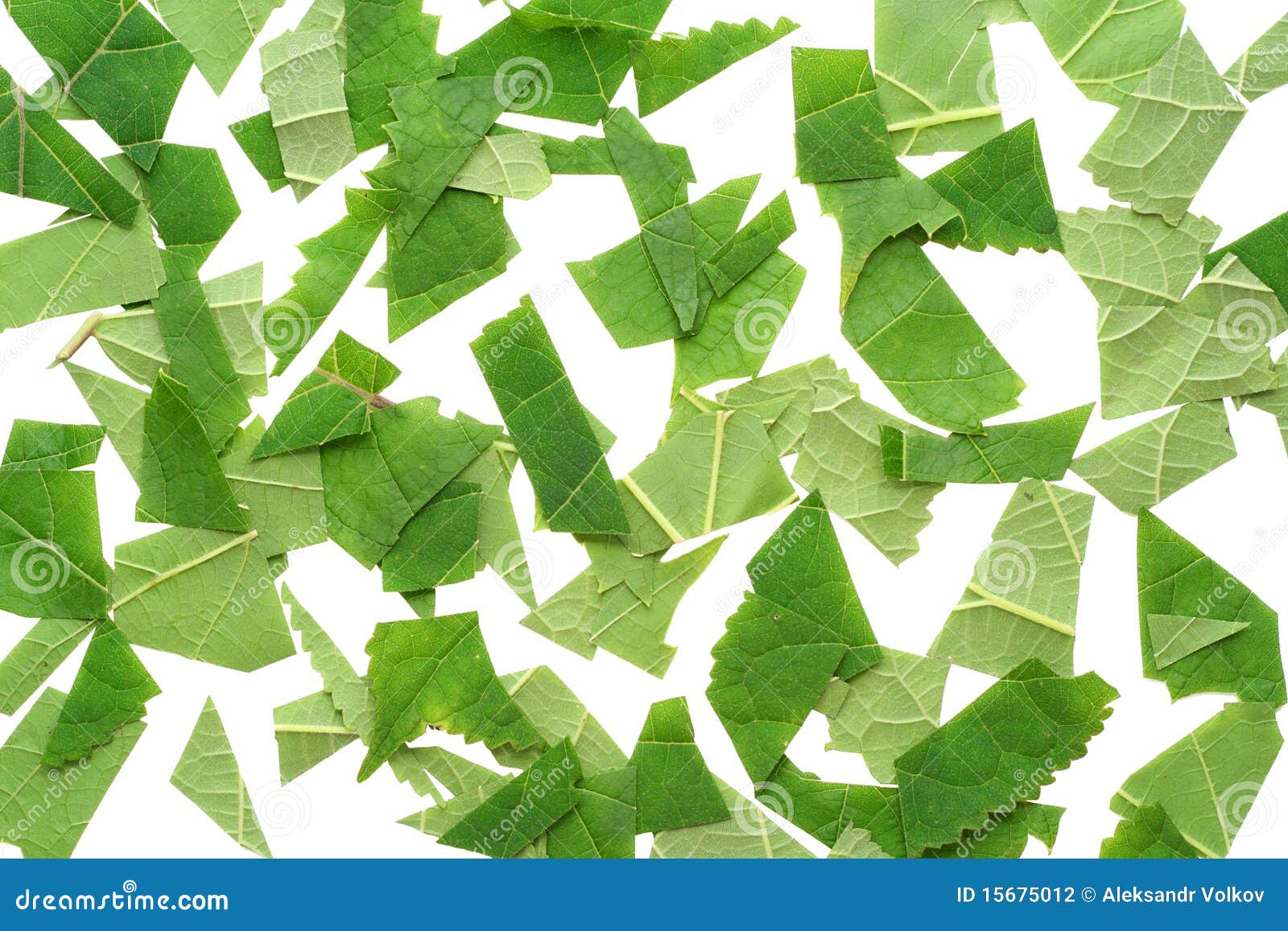 Small cut slices of leaves stock photo. Image of decorative - 15675012
