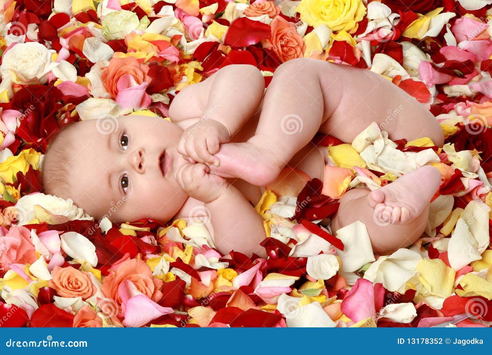 Small Cute Boy in Rose-petals Stock Photo - Image of gorgeous, perfect ...