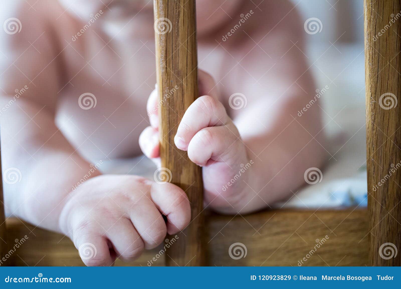 Small newborn baby hands stock image. Image of holding - 120923829