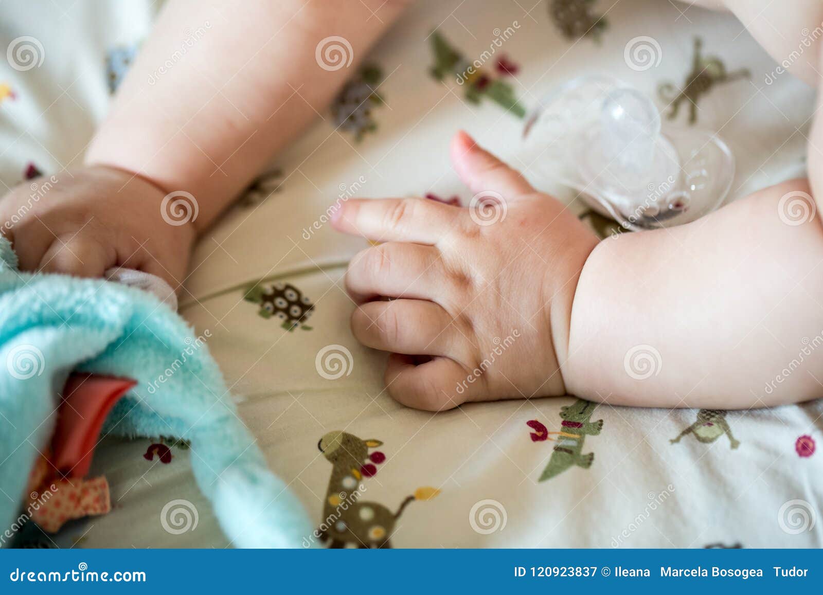 Small newborn baby hands stock image. Image of parent - 120923837