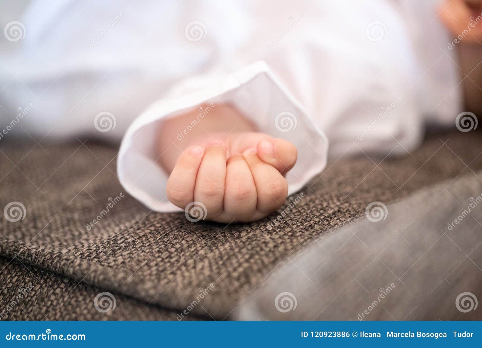 Small newborn baby hands stock photo. Image of skin - 120923886