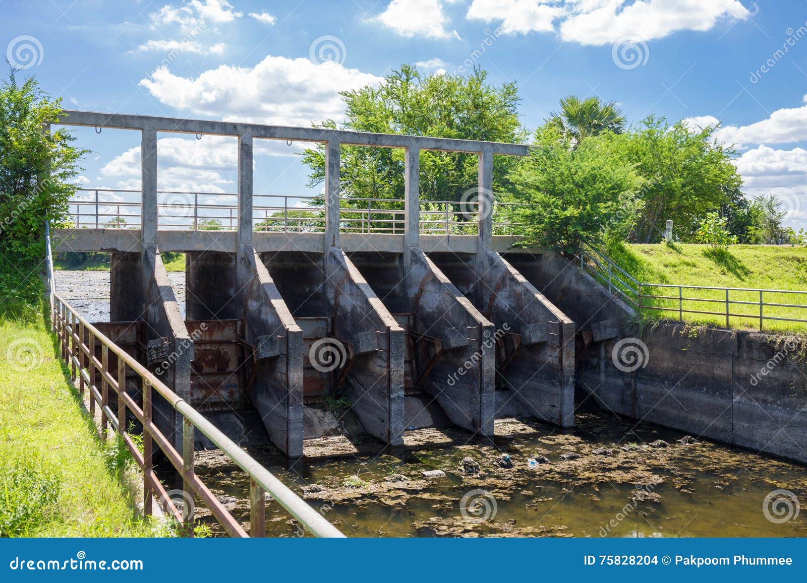 Small Dam in River, in Asia with Tree and Nature Blue Sky Stock Photo ...