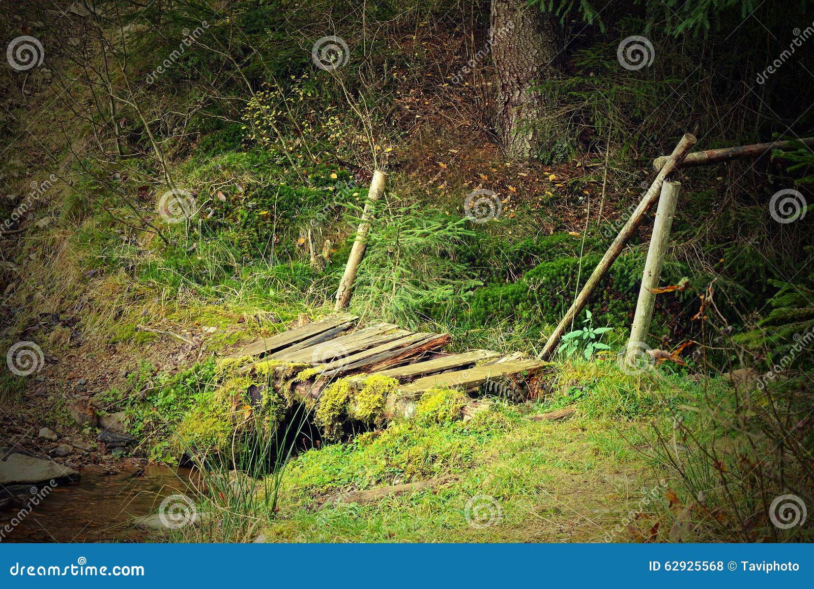 Small Damaged Wooden Bridge Stock Photo - Image of pedestrian, built ...
