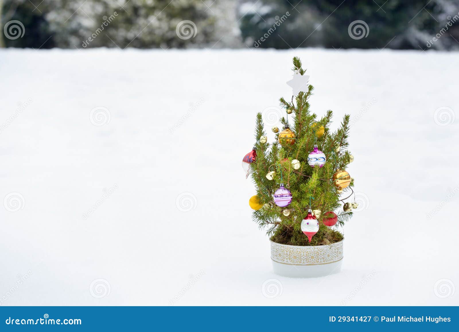 Small Decorated Christmas Tree Stock Image - Image of star, decorated ...
