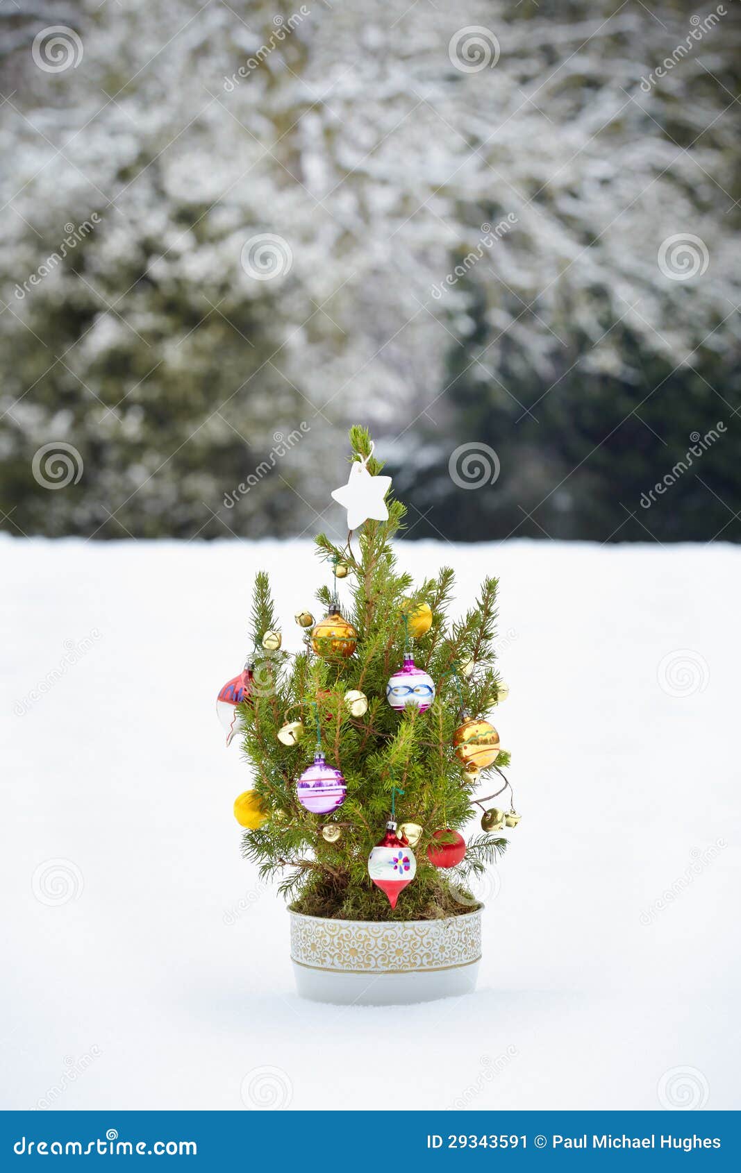 Small Decorated Christmas Tree Stock Image - Image of little, wintery ...