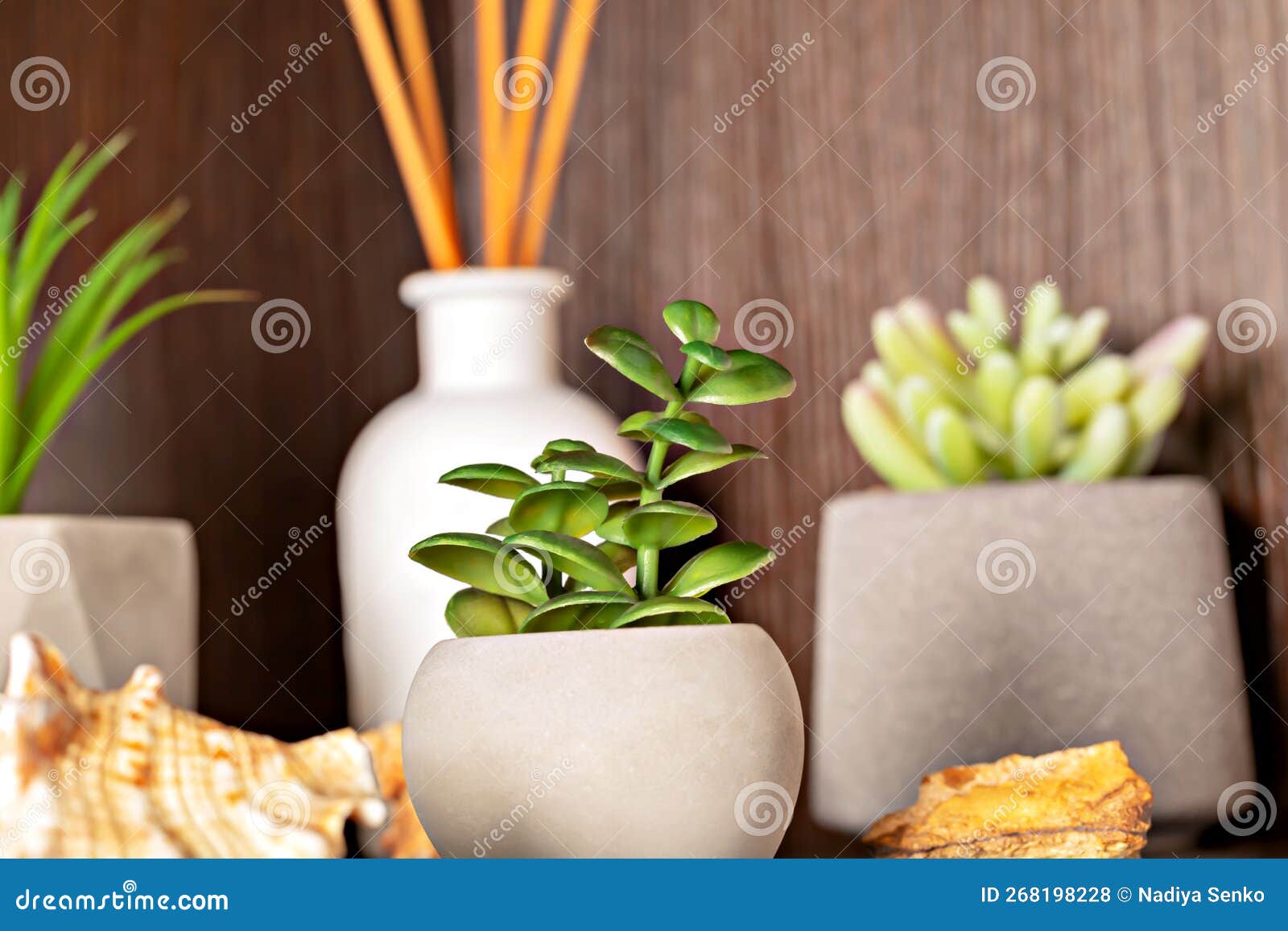 Small Decorative Flowers Around the Aromatic Reed Diffuser Stock Photo ...