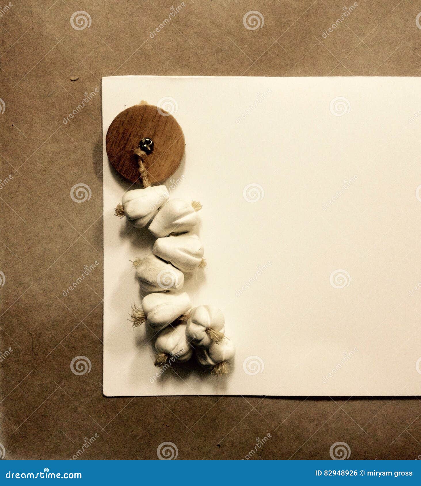 Small Decorative Garlic on Paper. Stock Photo - Image of garlic, paper ...
