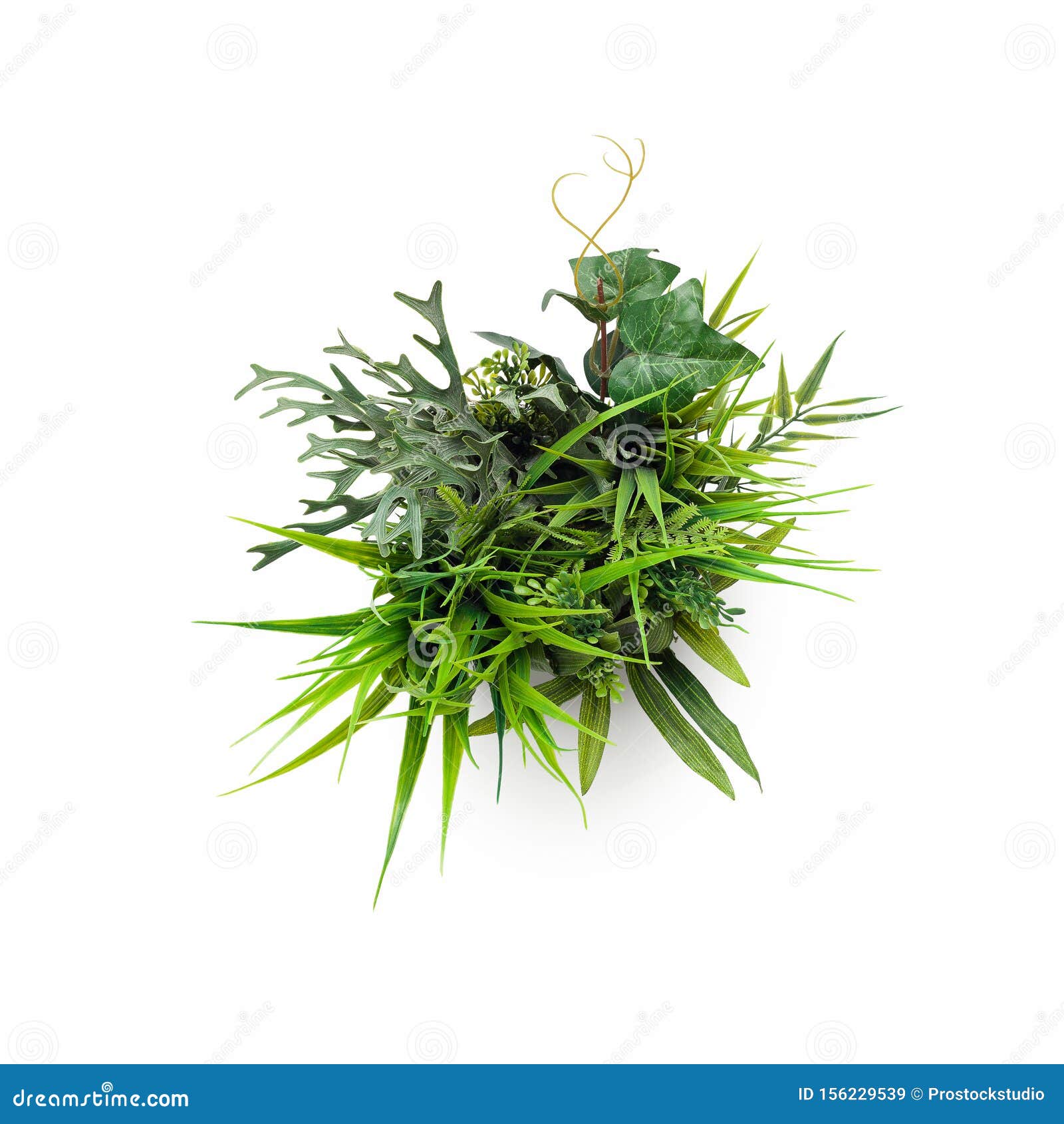 Small Decorative Plant in Round Pot on White Stock Image - Image of ...
