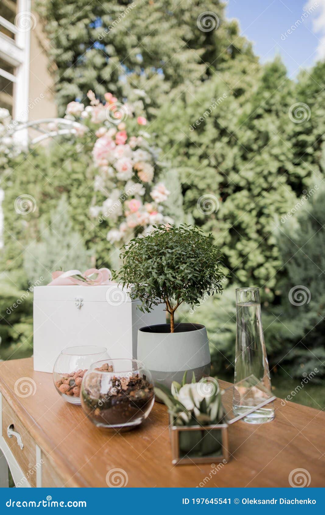 Small Decorative Tree on the Table Stock Image - Image of environment ...