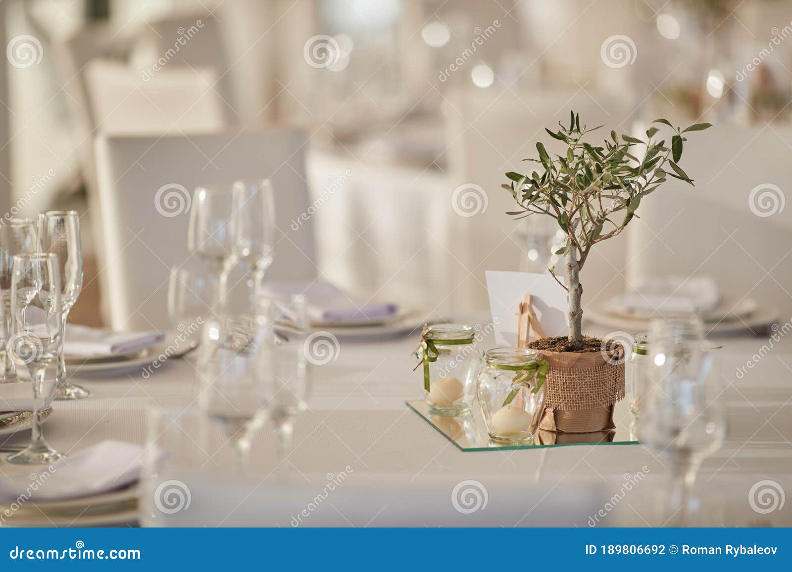 Small Decorative Tree on the Wedding Table Stock Photo - Image of ...