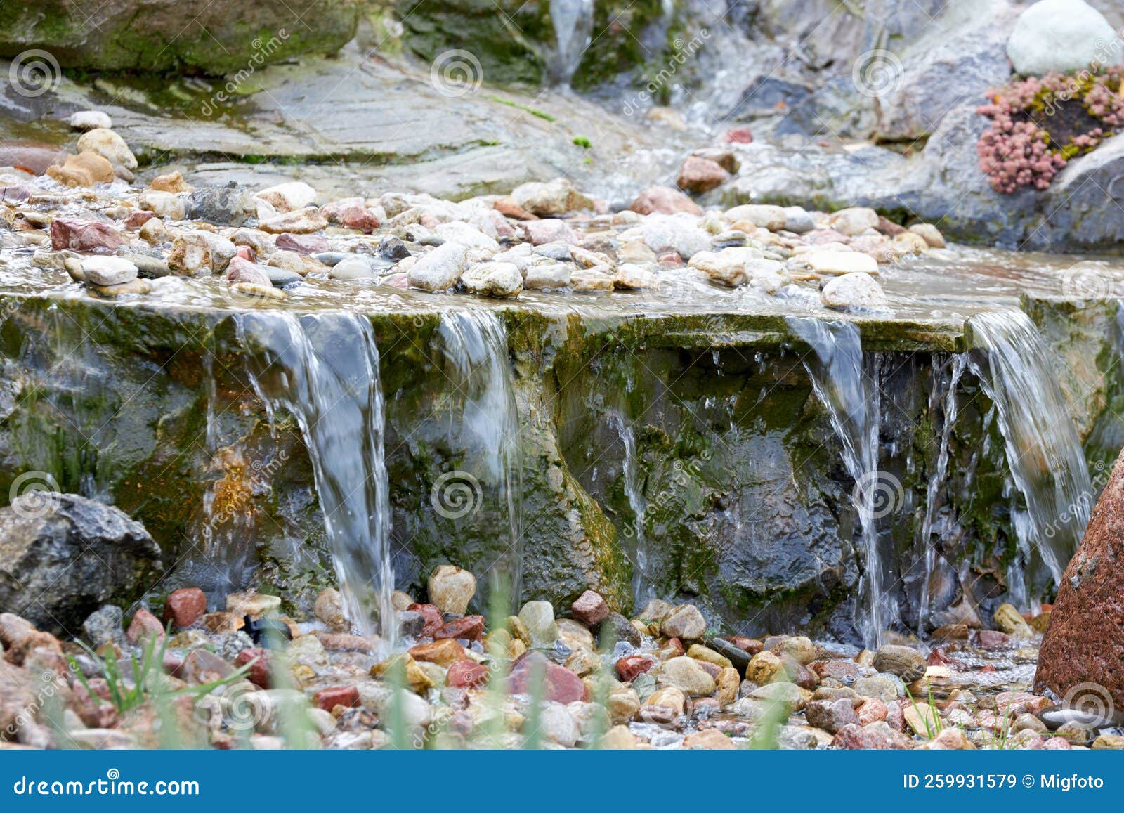 Small decorative waterfall stock image. Image of plant - 259931579