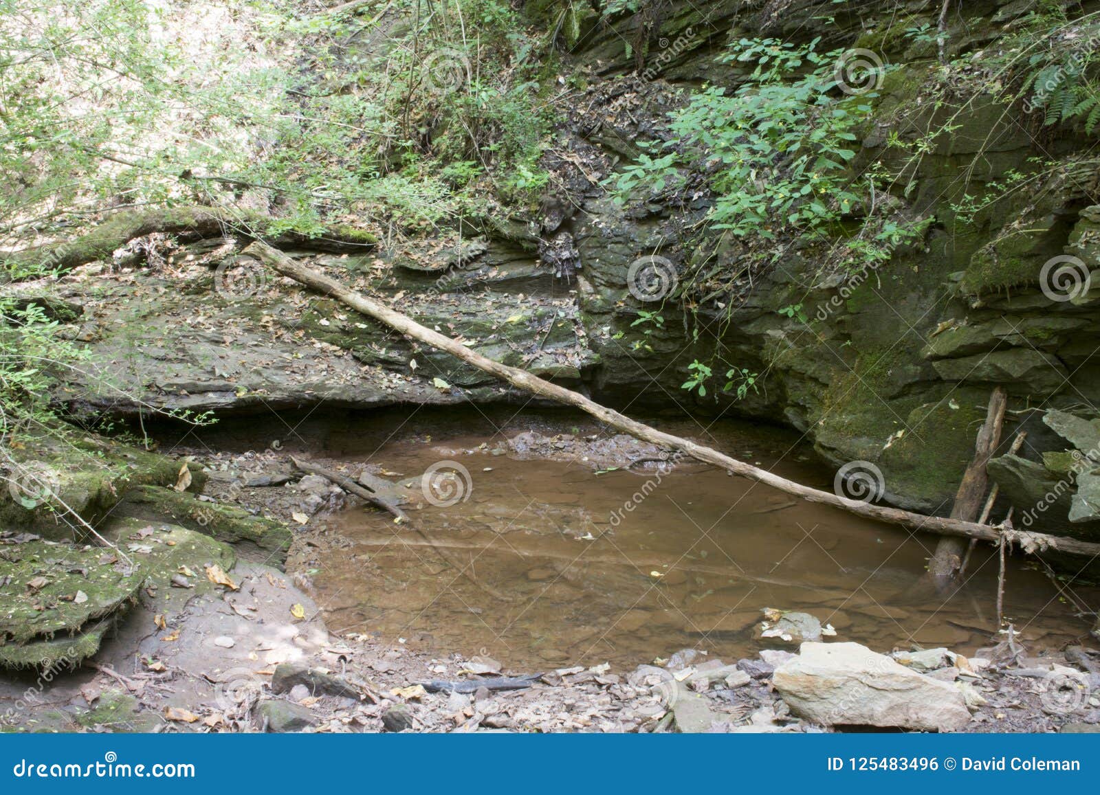 Pool Surrounded by Large Rocks Stock Photo - Image of leaves ...