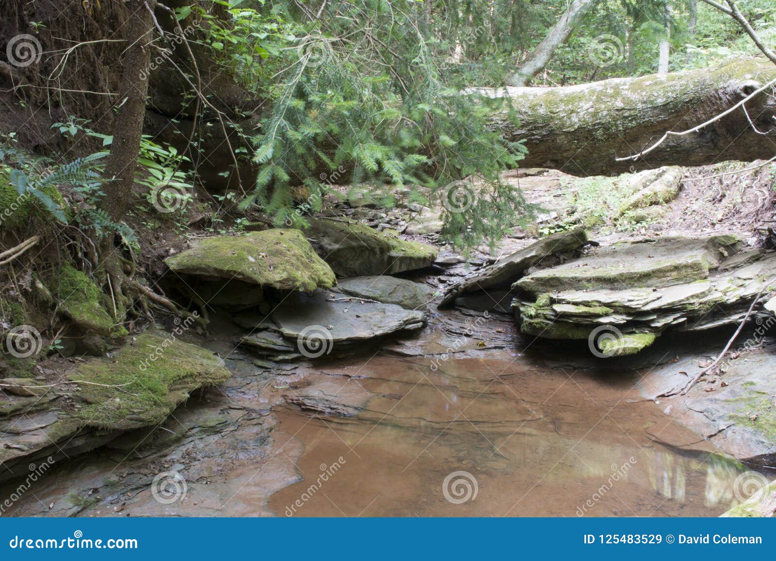 Pool Surrounded by Large Rocks Stock Image - Image of side, forest ...