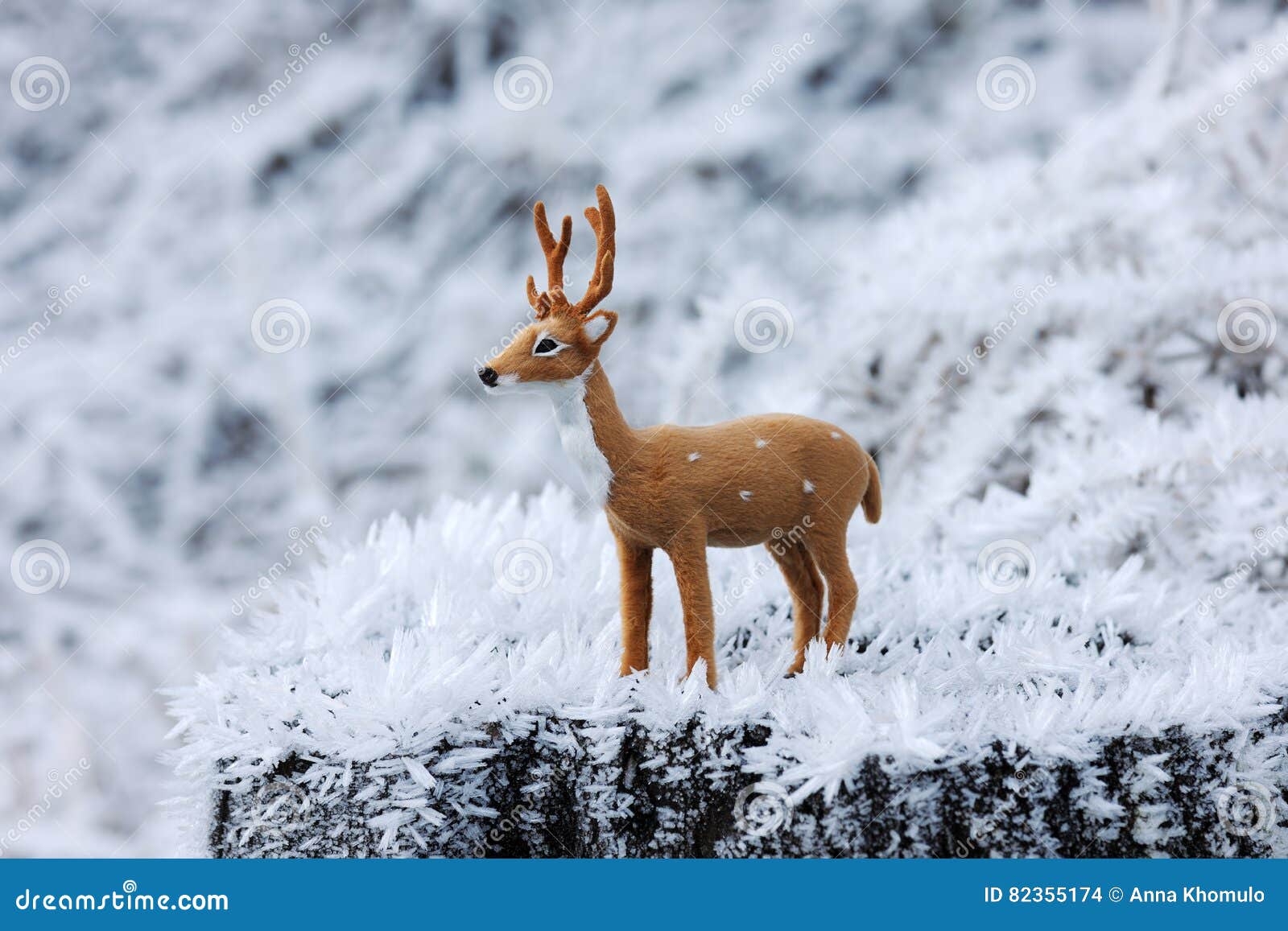 Small Deer in Frozen Forest Stock Photo - Image of wild, concept: 82355174