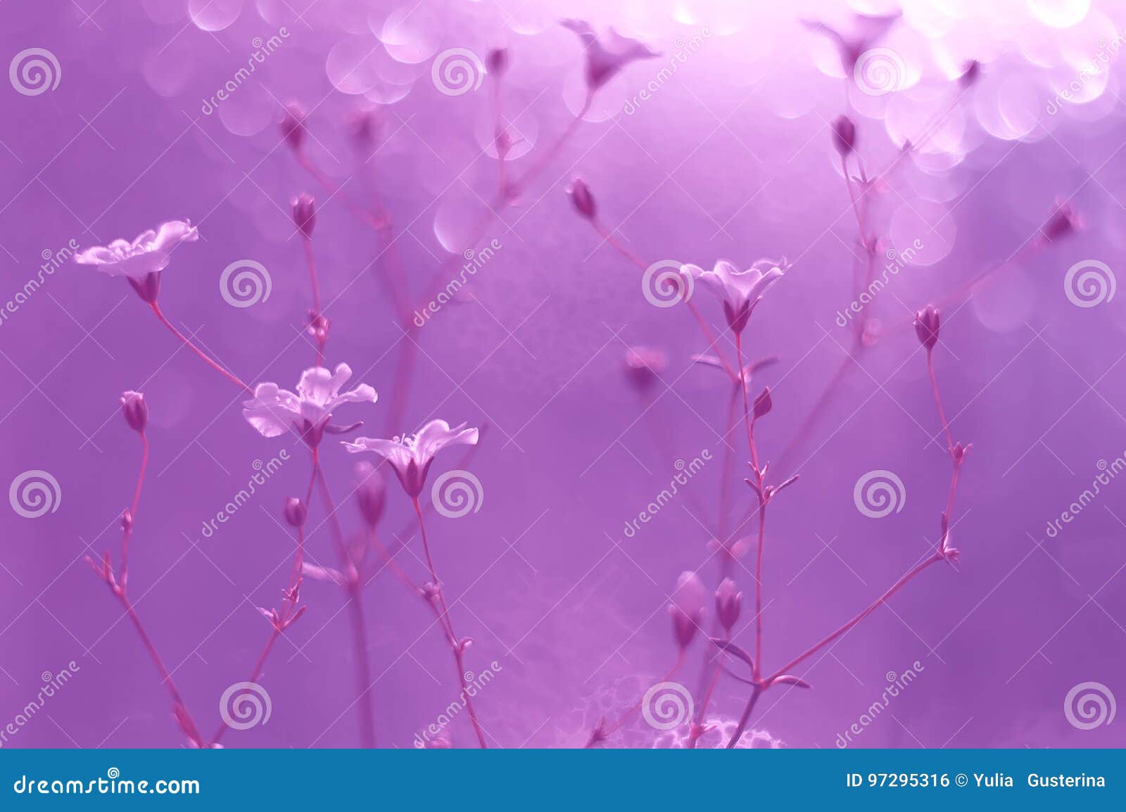 Small delicate flowers stock photo. Image of foliate - 97295316