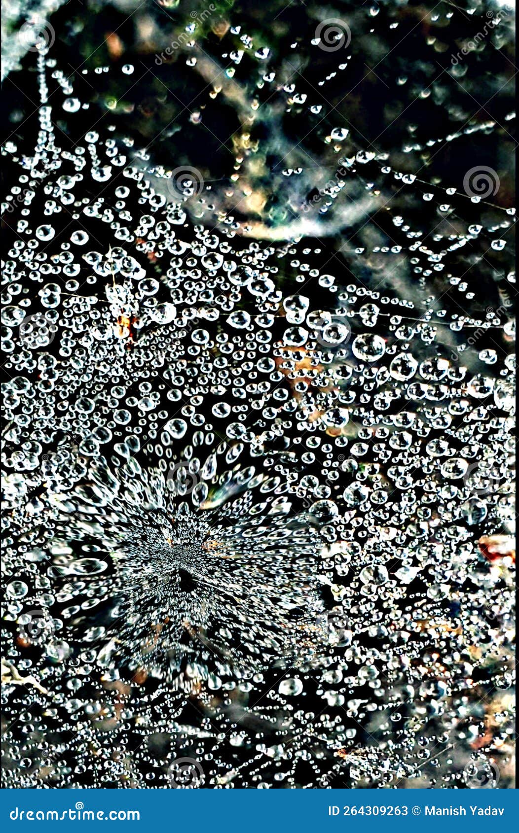 Small Dewdrops on Flower Surfaces Stock Image - Image of dewdrops ...