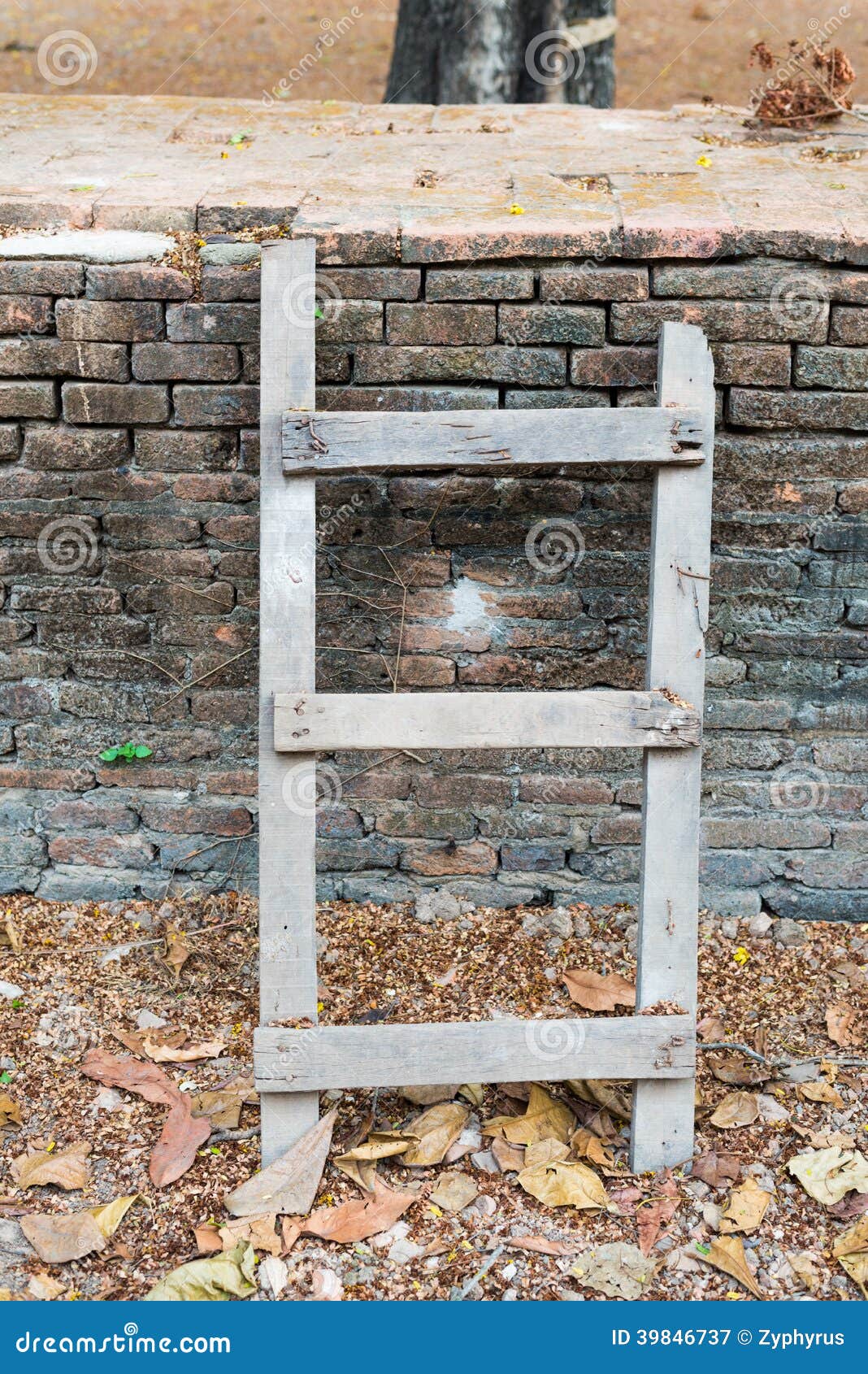 Small Diagonal Wooden Ladder Stock Image - Image of grungy, blank: 39846737