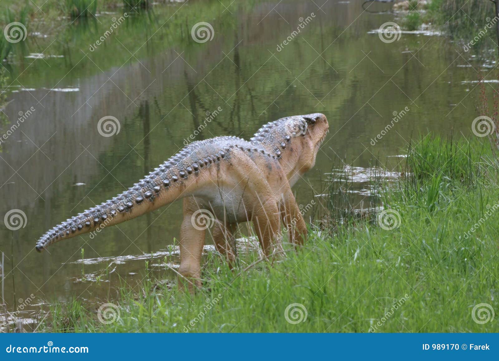 Small Dinosaur stock photo. Image of extinct, ferocious - 989170