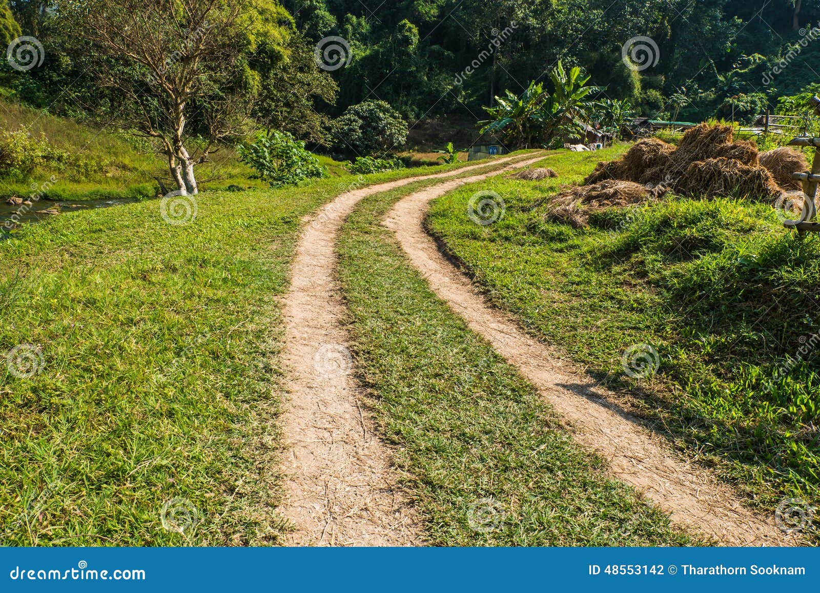 A Small Dirt Road that Curves Heading To the Forest Stock Photo - Image ...