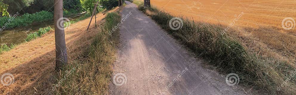 Small Dirt road stock photo. Image of beautiful, dusk - 97036890