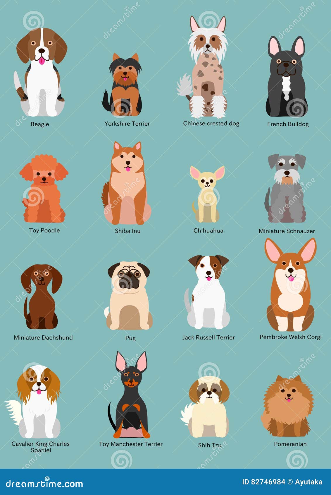 Small dog breed collection stock vector. Illustration of body - 82746984