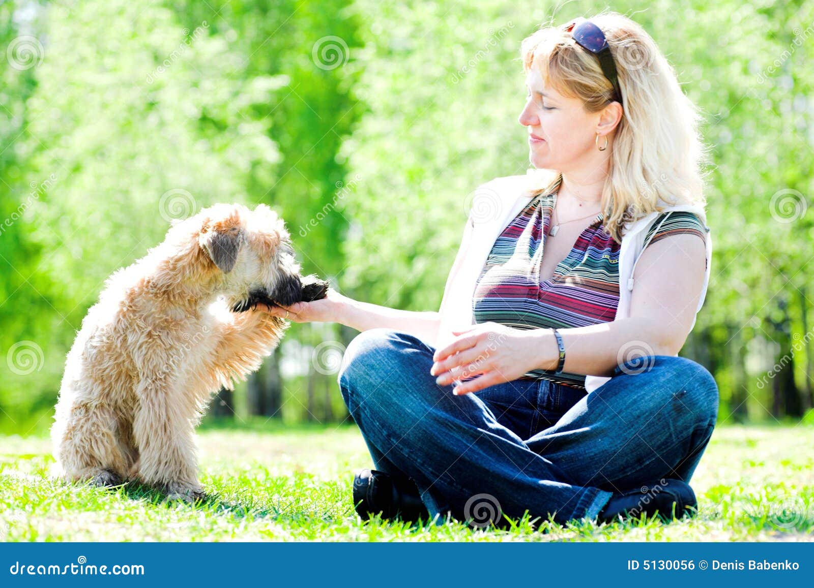 Small dog give forefoot stock photo. Image of grin, breed - 5130056