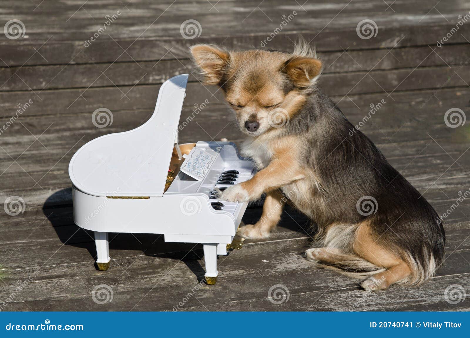2,089 Piano Playing Stage Stock Photos - Free & Royalty-Free Stock ...