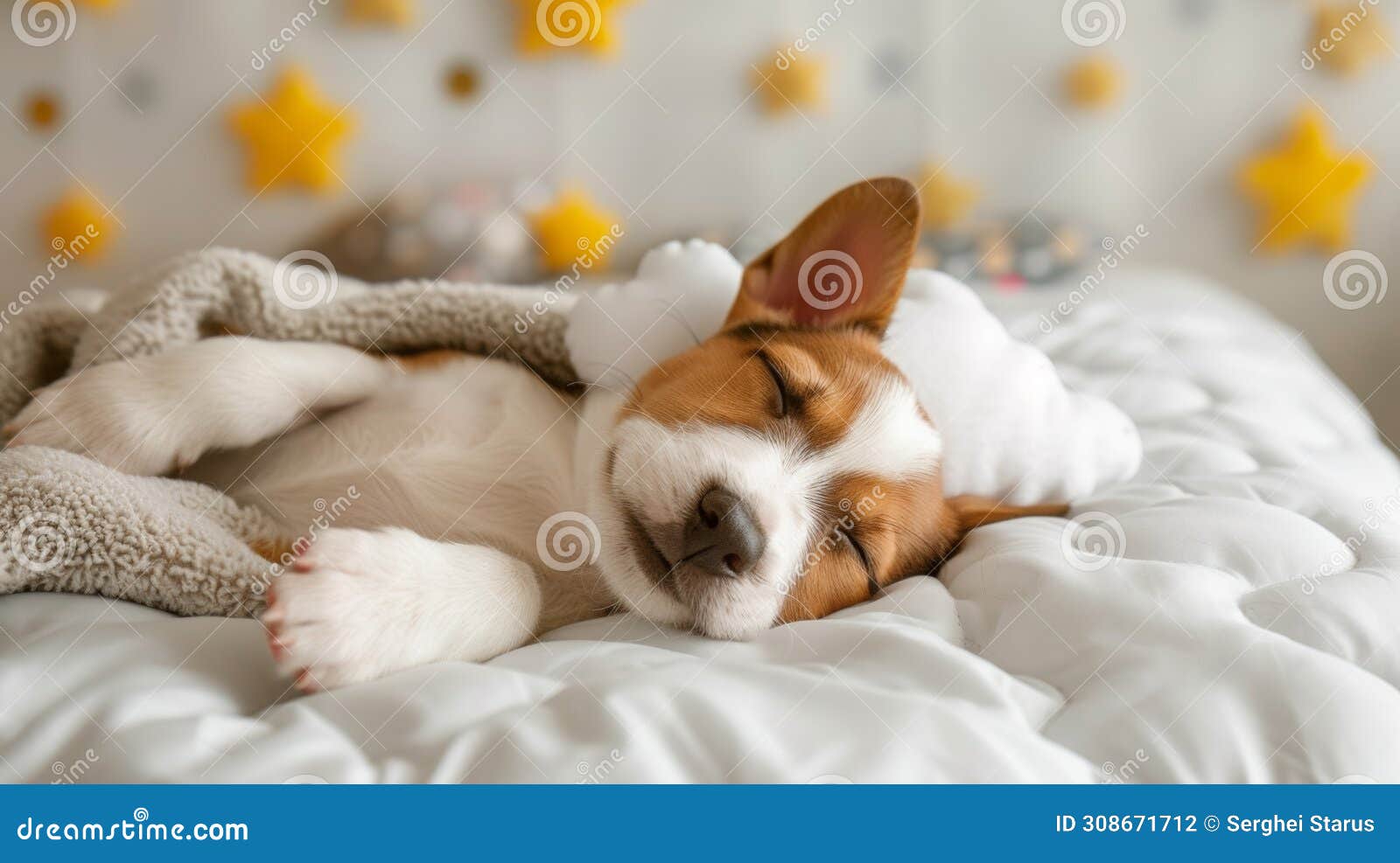 A Small Dog Sleeping on a Bed with Stars Hanging from the Ceiling, AI ...