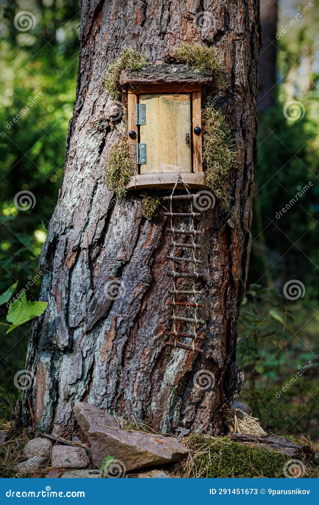 A Small Door in a Tree Trunk Stock Image - Image of fairy, environment ...