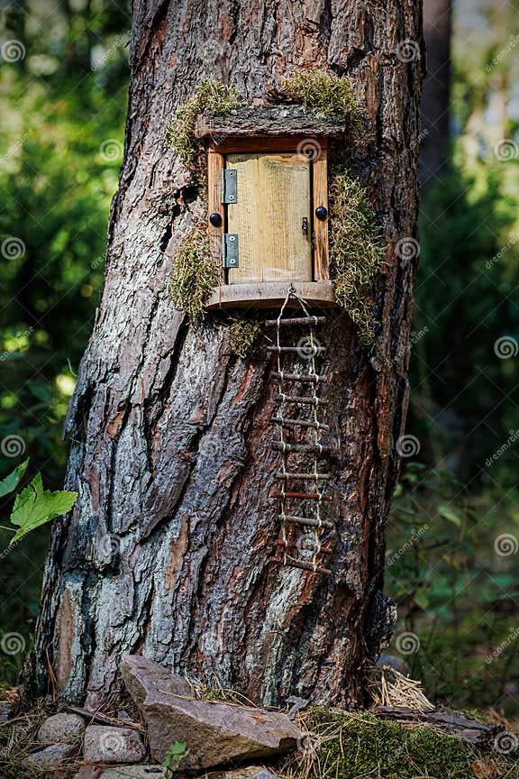 A Small Door in a Tree Trunk Stock Image - Image of fairy, environment ...