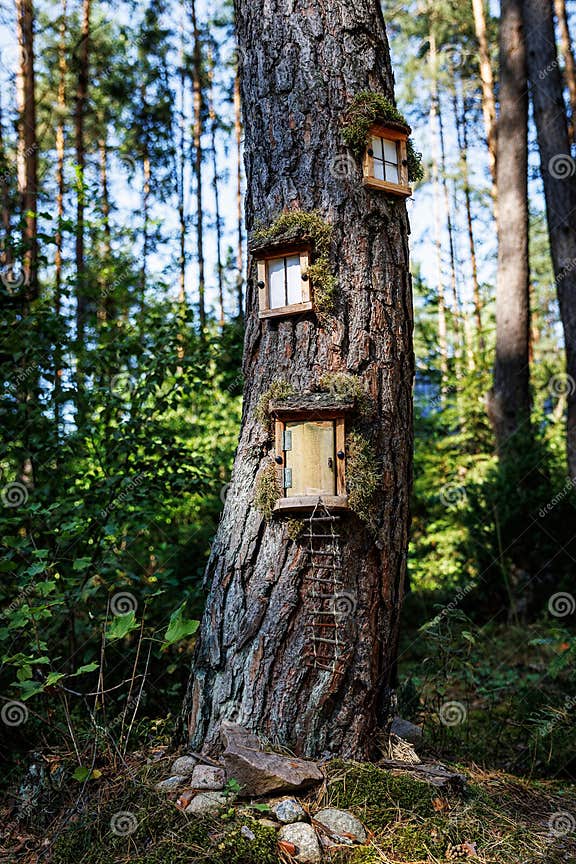 A Small Door in a Tree Trunk Stock Photo - Image of forest, door: 291451706