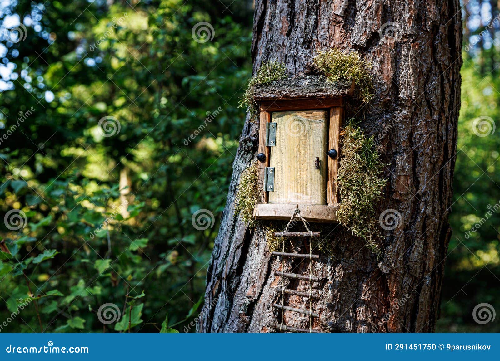 A Small Door in a Tree Trunk Stock Photo - Image of forest, world ...