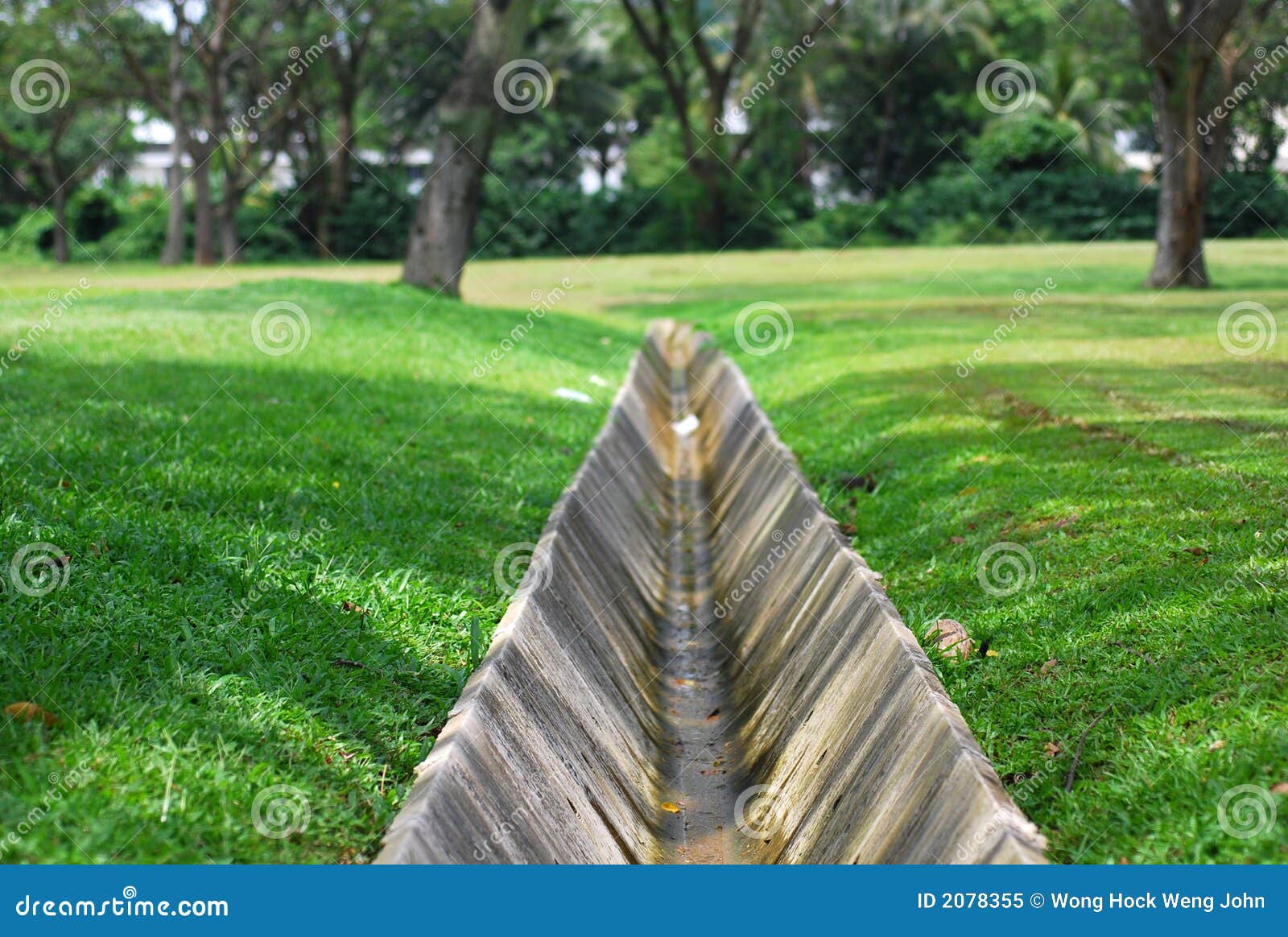 A small drain stock image. Image of plants, cement, tree - 2078355
