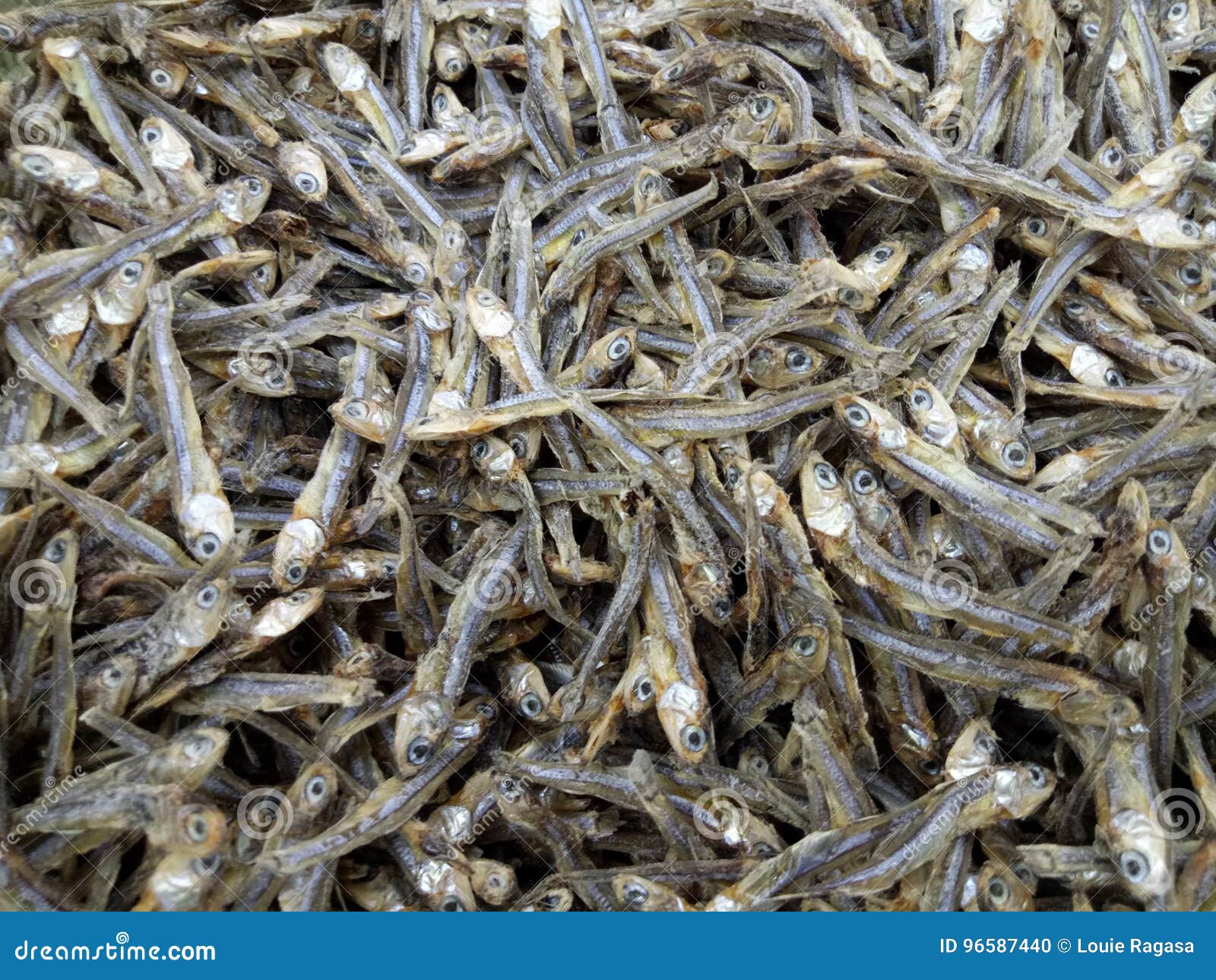 Small Dried Fish Dilis Stock Photos - Free & Royalty-Free Stock Photos ...