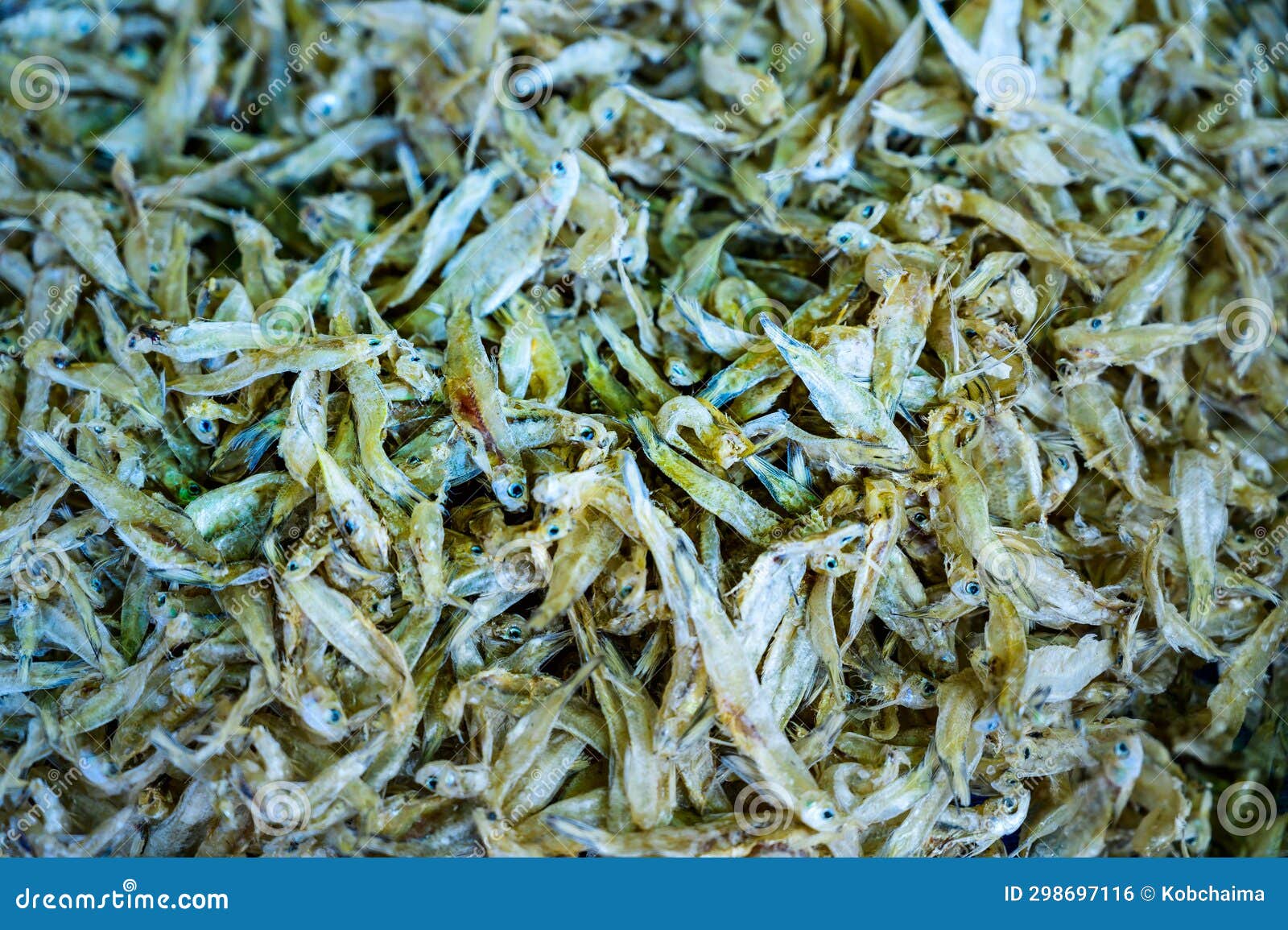 Small dried fish stock photo. Image of farmers, protein - 298697116