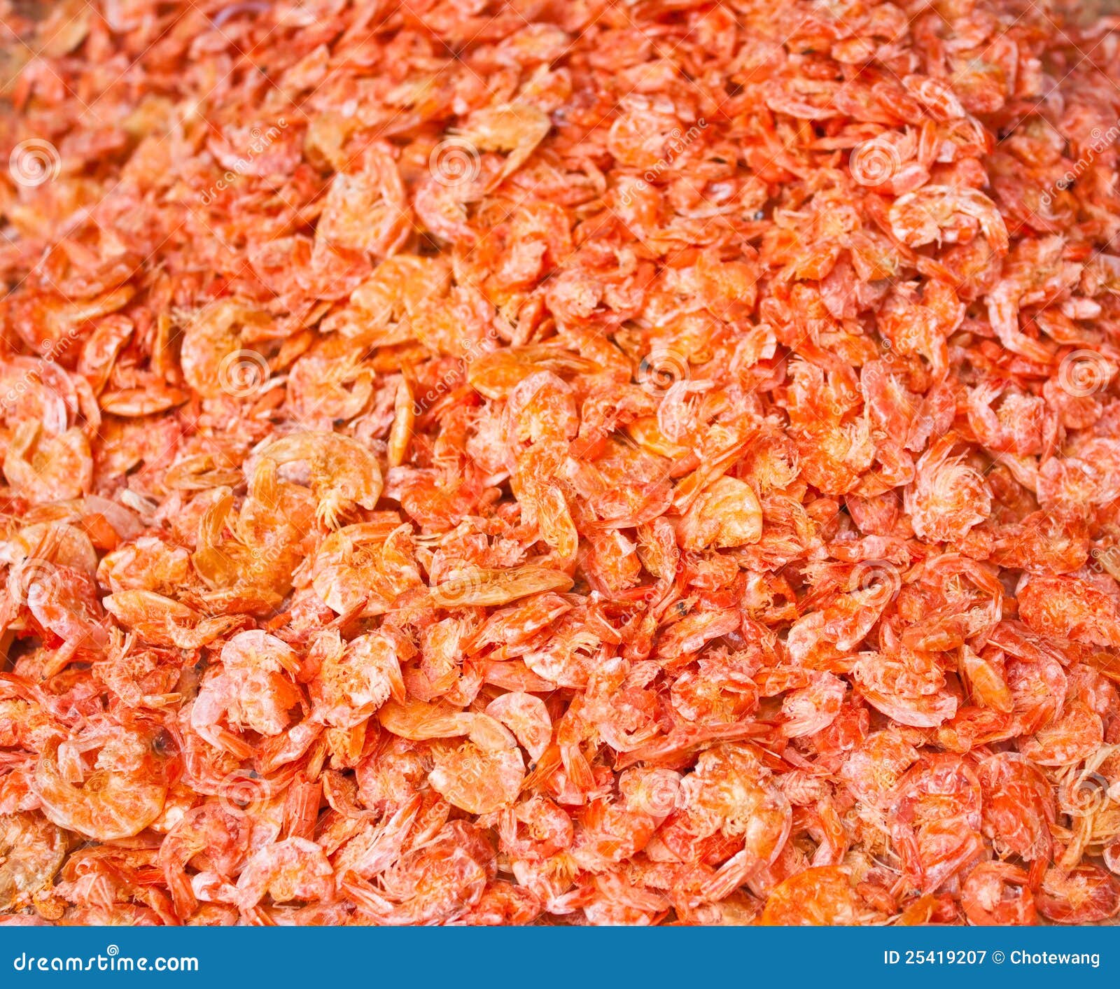 Small dried shrimp stock image. Image of meal, healthy - 25419207