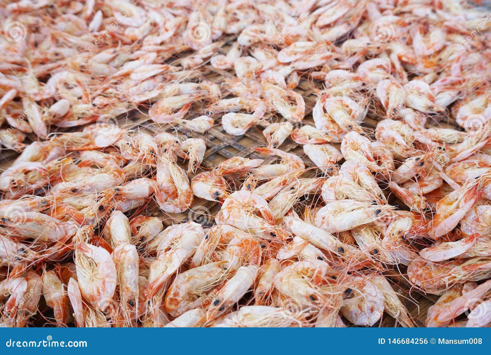 Small Dried Shrimp for Cooking Stock Photo - Image of cook, sweet ...