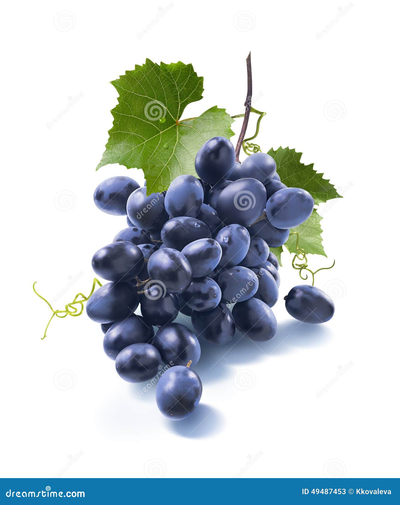 Small Dry Blue Grapes Bunch on White Background Stock Image - Image of ...